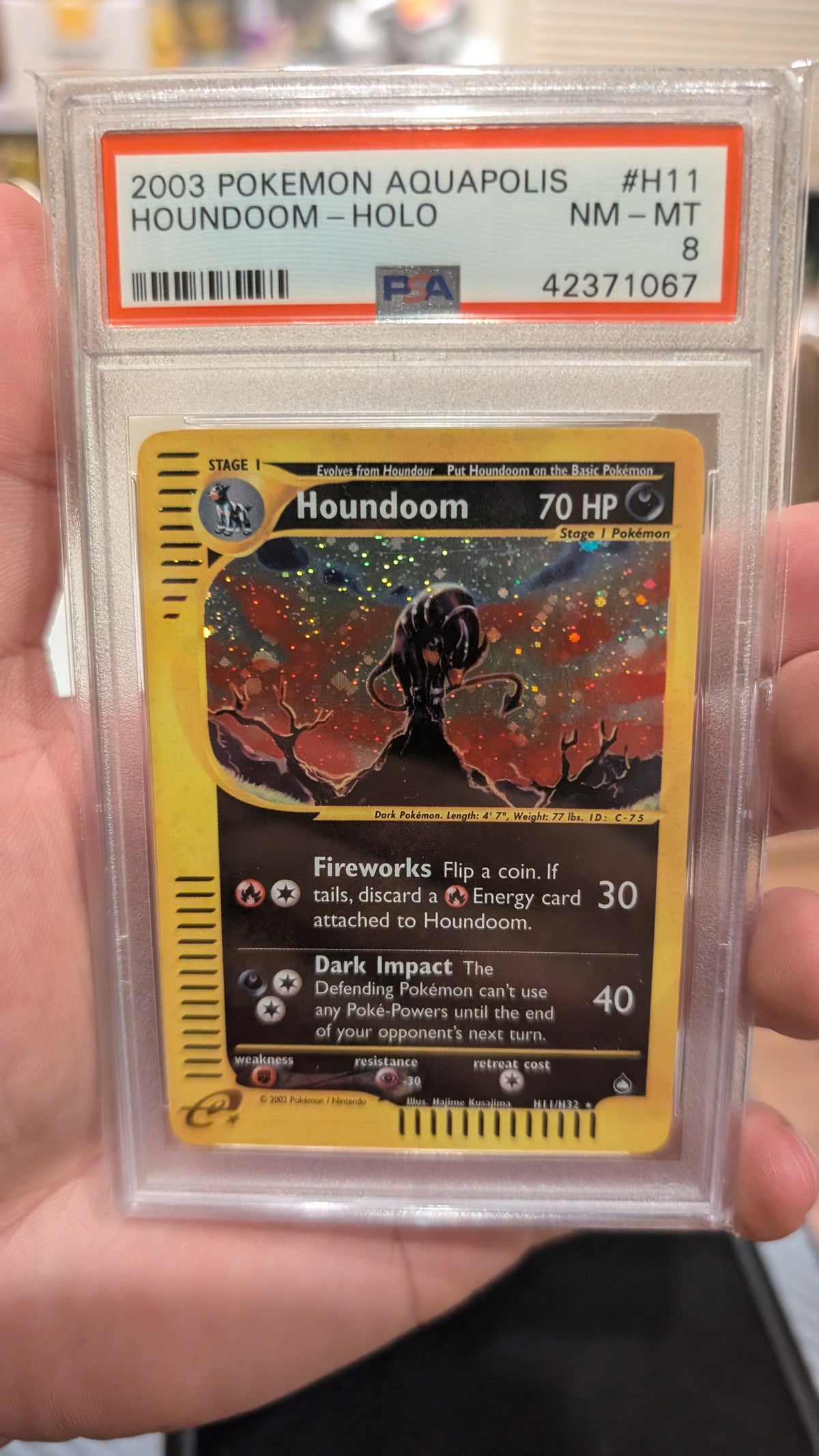 Houndoom Holo Aquapolis H11/H32 PSA 8 — ThePokeNest
